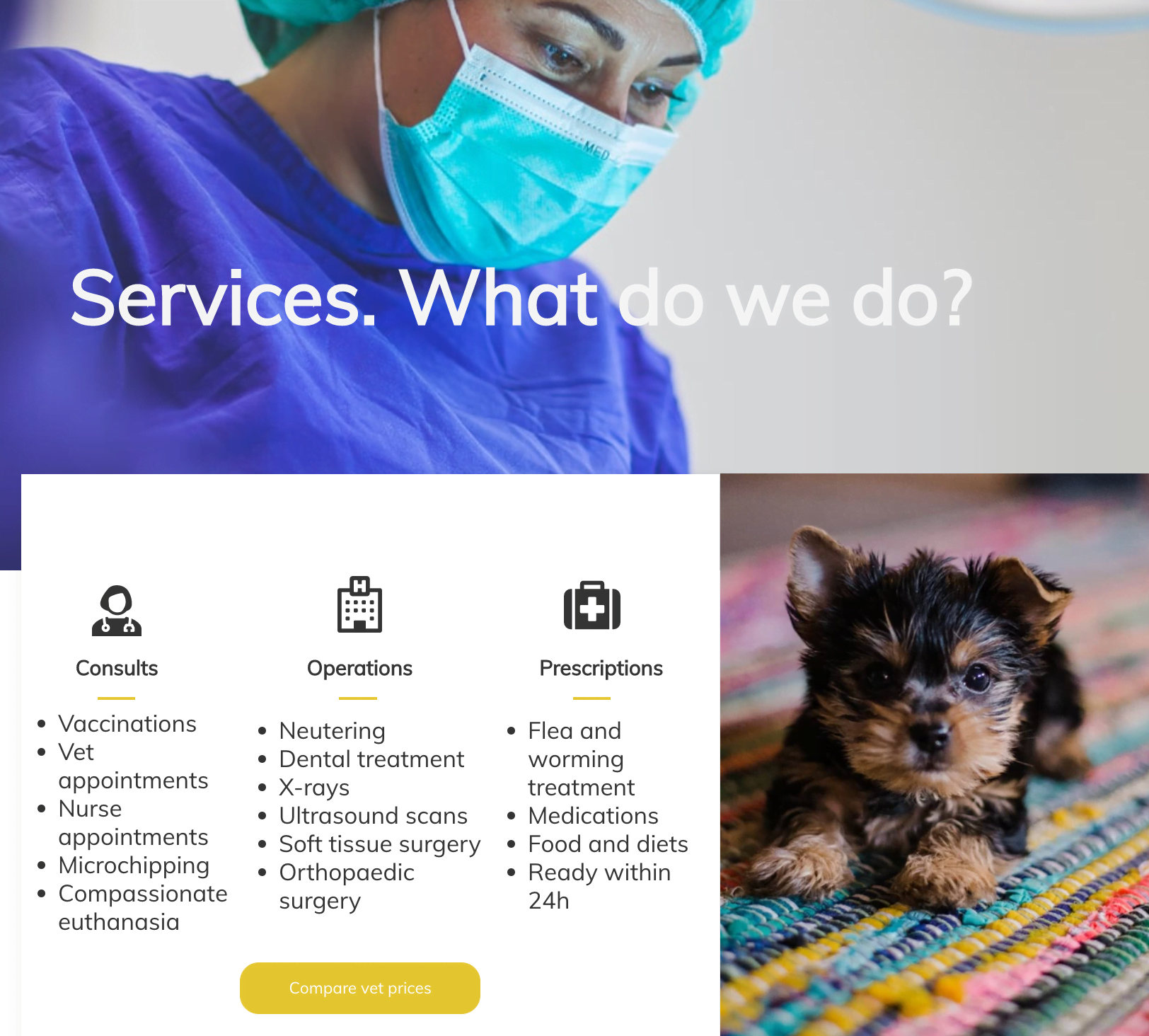 London Vets Near Me. New Clients and Pets registration open